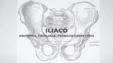 ILIACO: ANATOMIA, FISIOLOGIA, TECNICHE CORRETTIVE | INTERNATIONAL ...