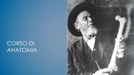 ANATOMIA – CINGOLO SCAPOLARE | INTERNATIONAL OSTEOPATHIC ACADEMY