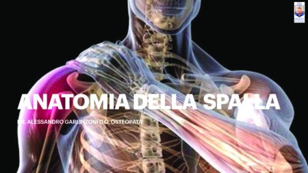 ANATOMIA DELLA SPALLA | INTERNATIONAL OSTEOPATHIC ACADEMY