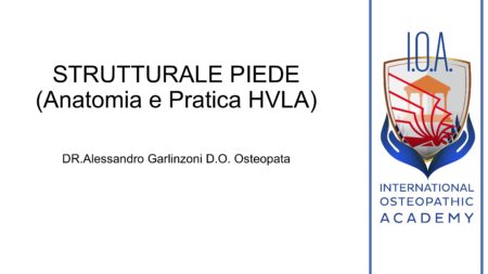 OSTEOPATIA STRUTTURALE – HVLA – IL PIEDE | INTERNATIONAL OSTEOPATHIC ...